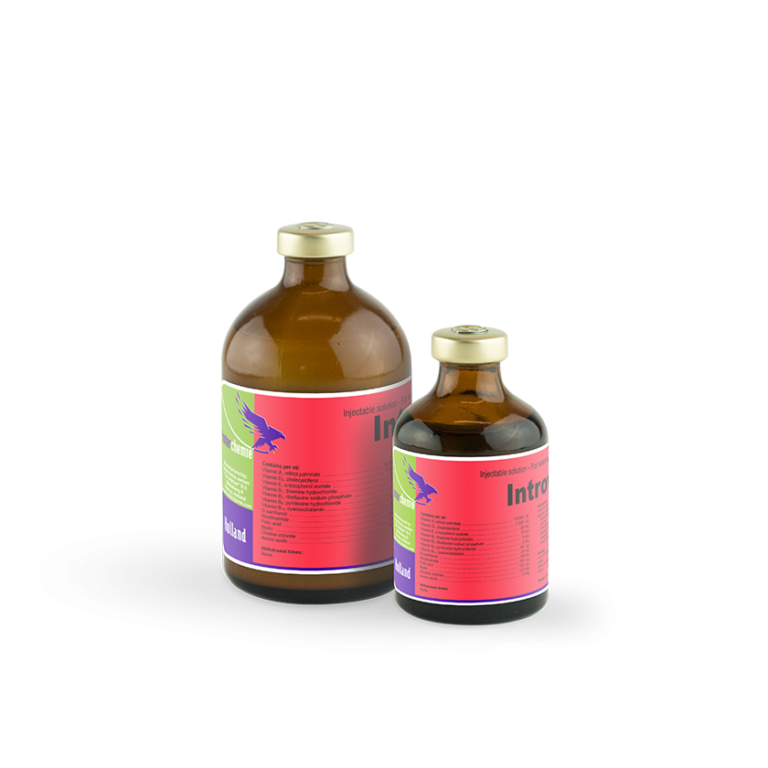 Introvit-C WS – Globalvetdis