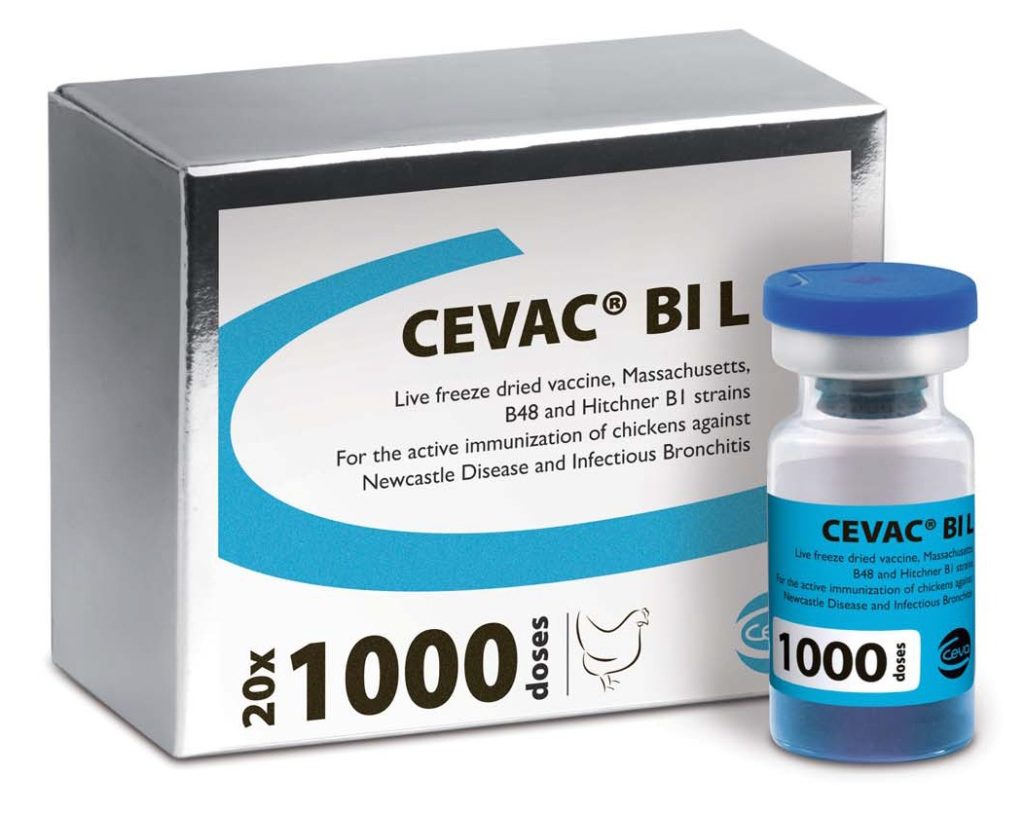 Cevac BI L – Globalvetdis