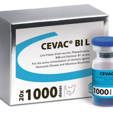 Produits – Page 3 – Globalvetdis