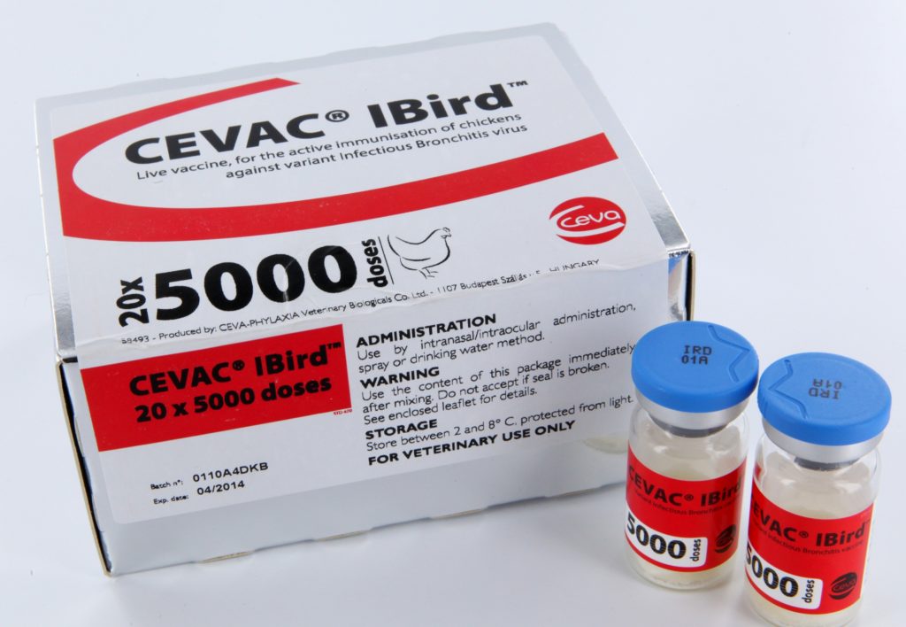 Cevac Ibird – Globalvetdis
