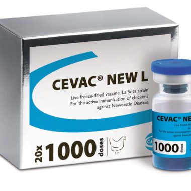 Cevac ND IB K – Globalvetdis