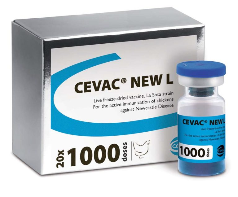 Cevac New L – Globalvetdis
