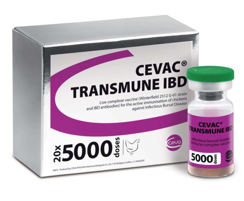 Cevac TRANSMUNE – Globalvetdis